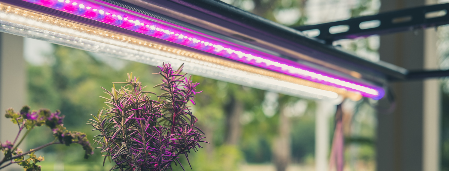 Can plants get too much LED light? - A-Grade Hydroponics