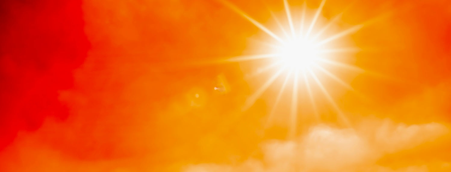 Heat Stressed Plants - A-Grade Hydroponics