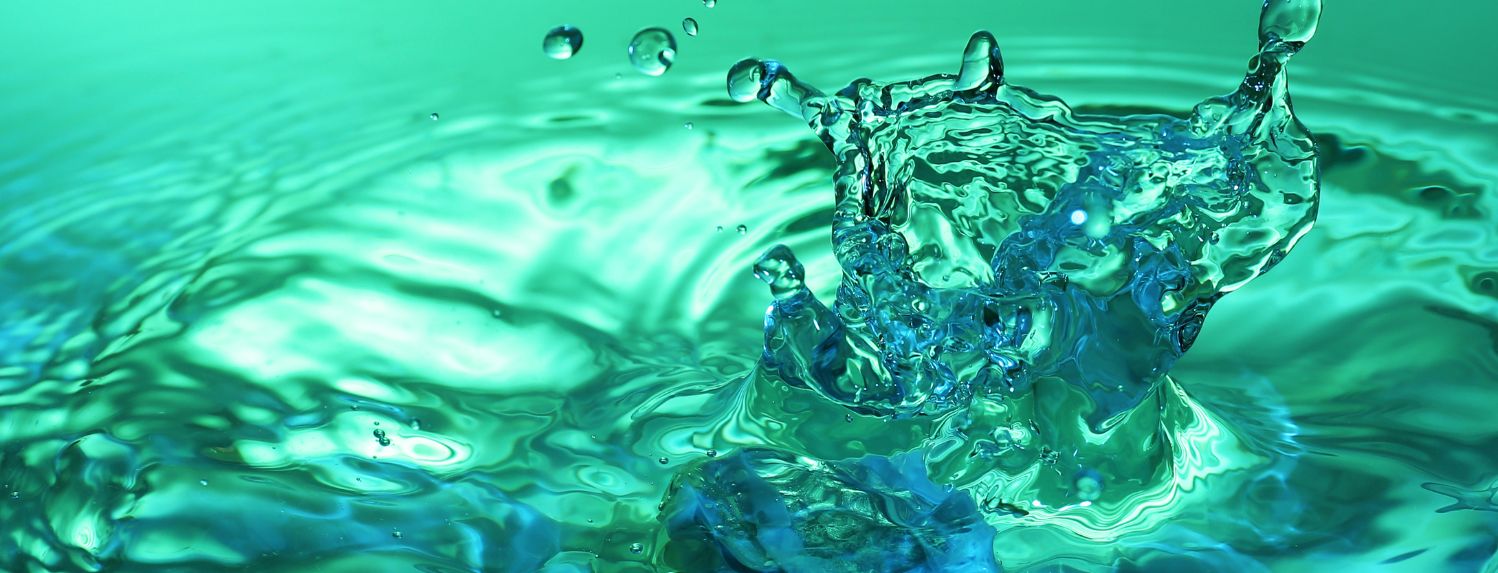 Hydroponics For Beginners – A-Grade Hydroponics