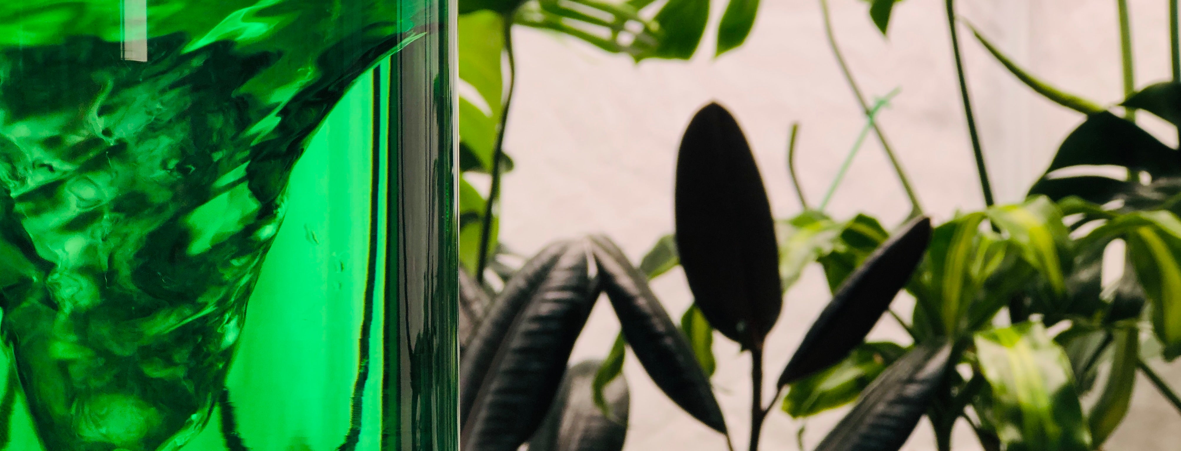 How to mix hydro nutes? A-Grade Hydroponics