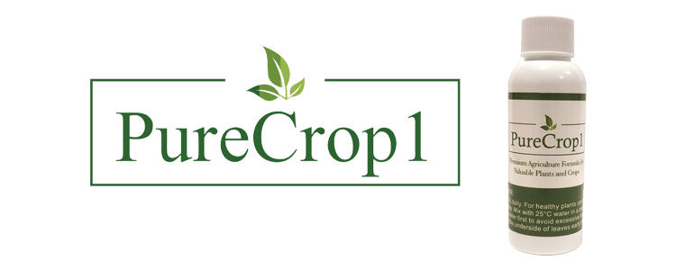 Product Spotlight - PureCrop1 - A-Grade Hydroponics