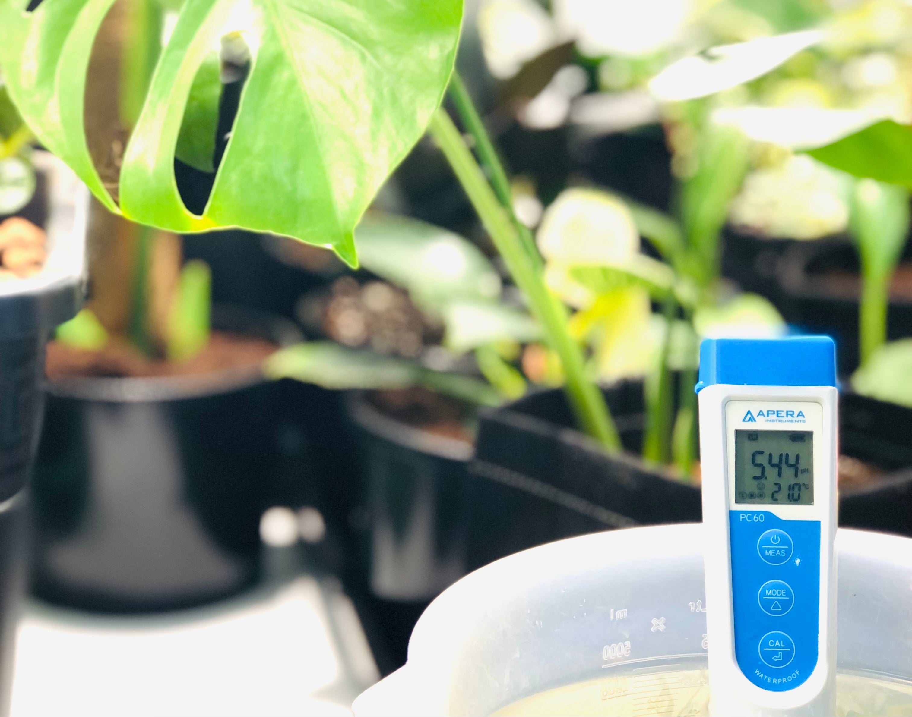 Hydroponics? - A-Grade Hydroponics